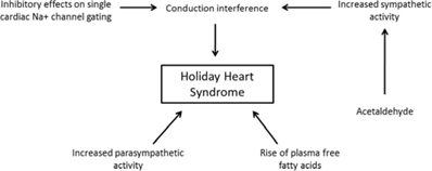 Síndrome del “Holiday Heart” – MonKeyEM
